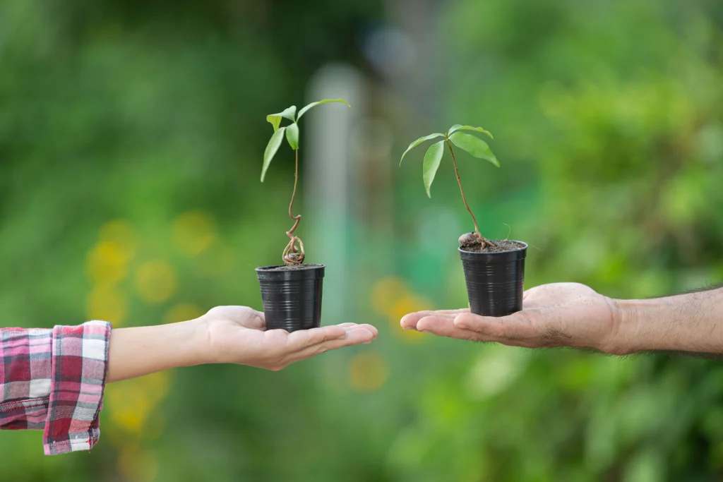 Companion Planting: Best Plant Pairings for a Thriving Garden